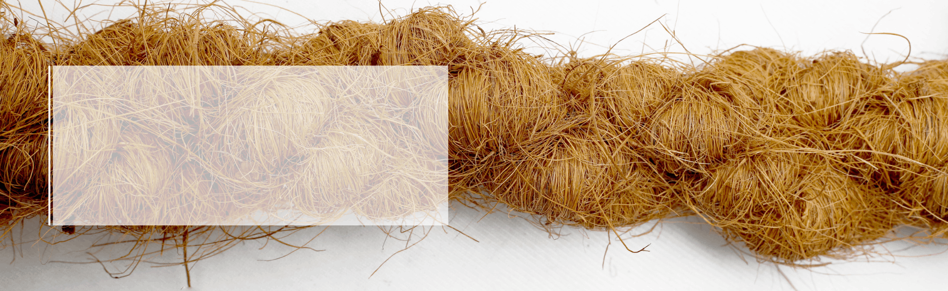 COIR TWINE/YARN - Finegreen International