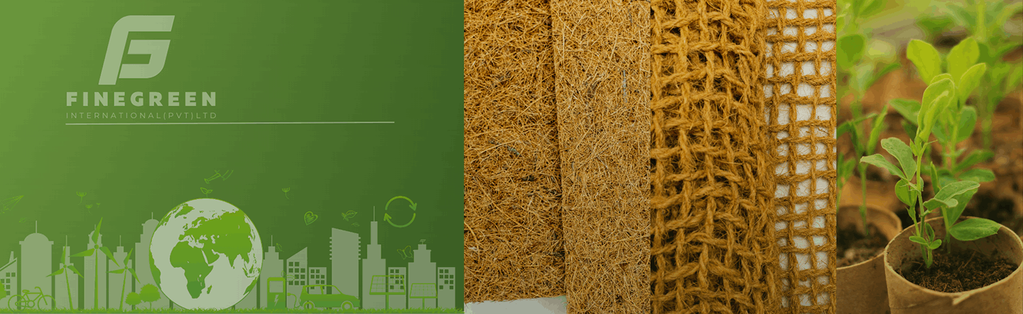 About us - Finegreen International